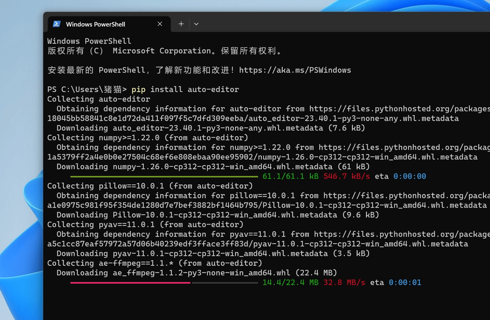 如何使用免费自动剪辑工具Auto-Editor？ - 猪猫博客