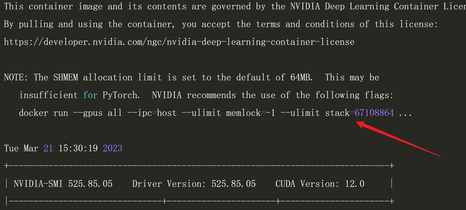 Docker搭建本地AI模型（二）使用NVIDIA官方镜像，接入Gradio图形化界面 - 猪猫博客